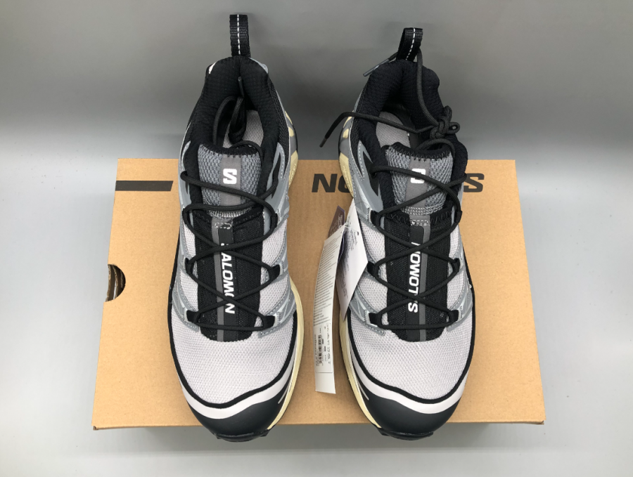 Salomon XT-6 Expanse 'Alloy Quiet Shade' - SneakerCharter.com