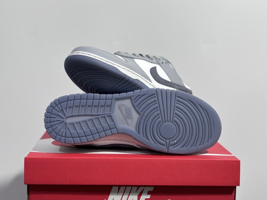 Dunk Low SE 'Light Carbon' - SneakerCharter.com